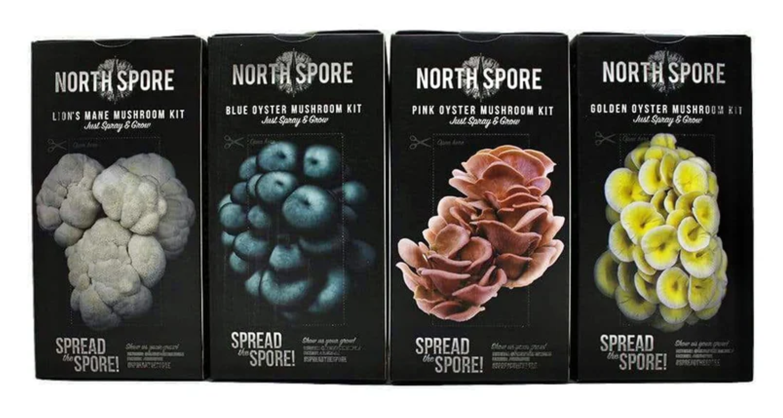 North Spore Spray and Grow Mushroom Kit | Home Grown