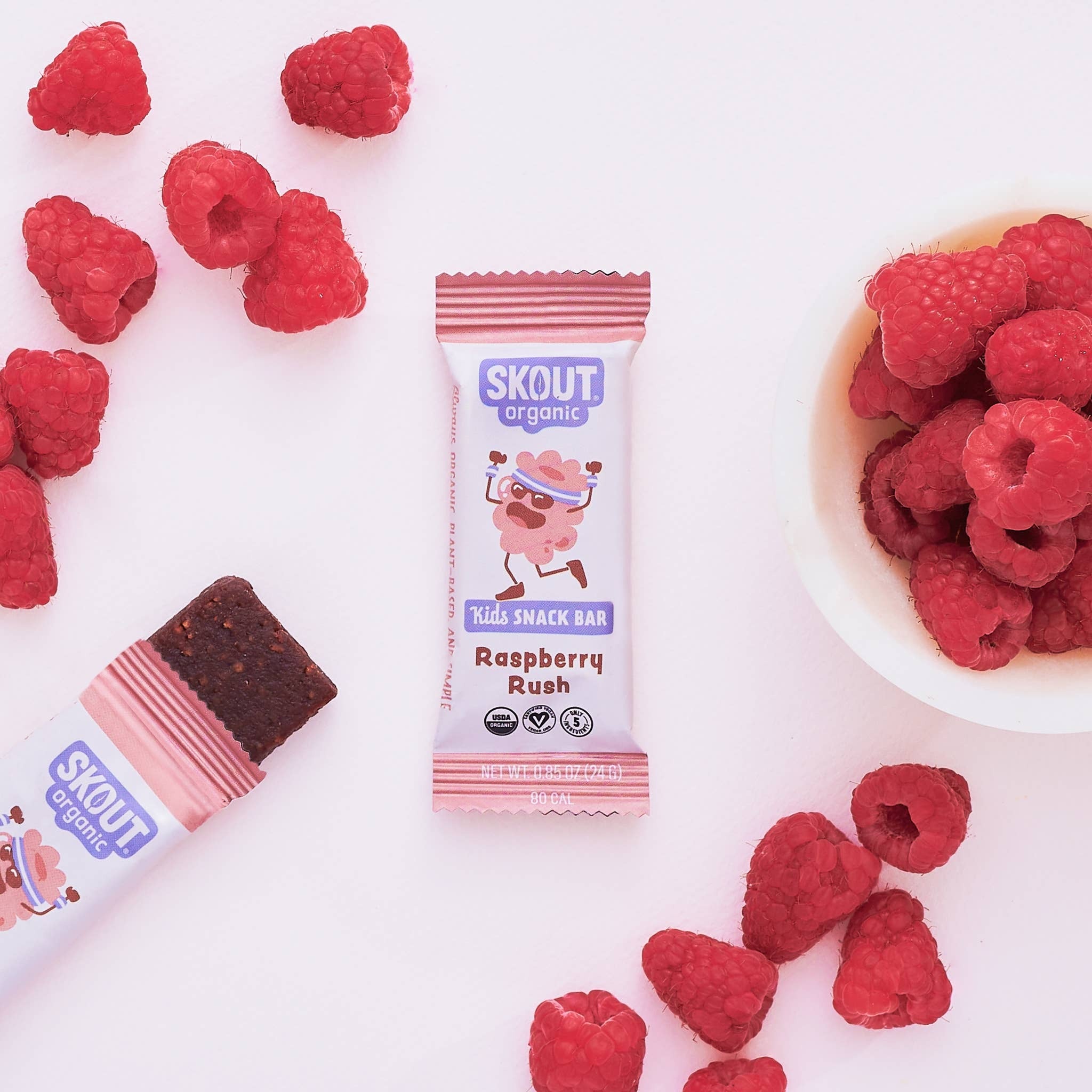 Skout Organic Raspberry Rush Kids Snack Bar | Home Grown